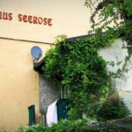 Schwabing: Insider Tour! Neighborhood, revolt, secrets in Munich's cult district - The Sum Up