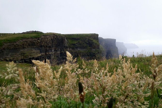 Scogliere di moher e Galway in italiano - La qualità della guida: un elemento chiave