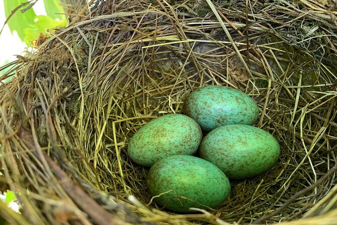 Scoprire la Vera Tintilia del Molise, Autentico ed Eccellenso - Authenticity and Family Passion