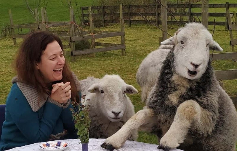 Scotland: Relaxation Retreat with Naughty Sheep - What to Expect on the Day