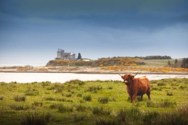 Scotland: West Highlands, Mull and Iona 4-Day Tour - Transportation and Comfort
