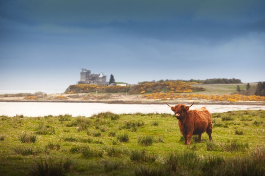 Scotland: West Highlands, Mull and Iona 4-Day Tour - Transportation and Comfort