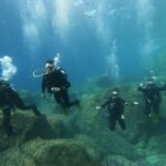 Scuba Diving 1 day course in Villasimius - What to Expect: The Day in Detail