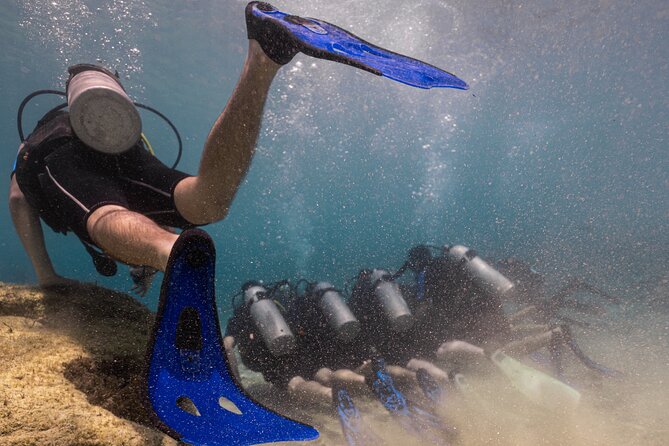 Scuba Diving at Turtle Bay with Underwater Pictures Included - Key Points