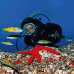 Scuba Diving Baptism in Caleta de Fuste - Photos & Memories