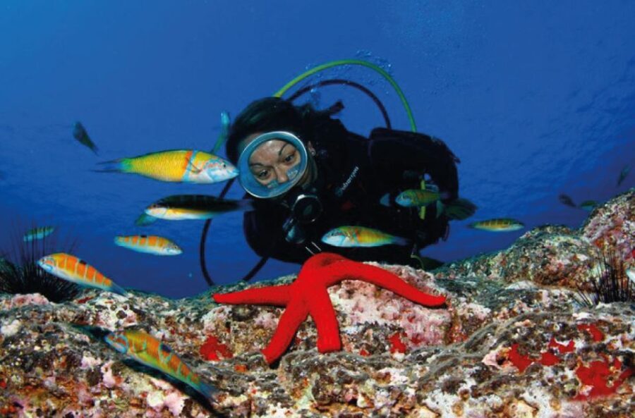 Scuba Diving Baptism in Caleta de Fuste - Photos & Memories
