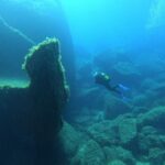 Scuba Diving Excursion in the Marine Protected Area - What Makes This Tour Stand Out?