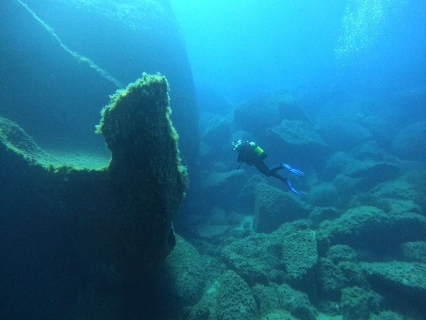 Scuba Diving Excursion in the Marine Protected Area - What Makes This Tour Stand Out?
