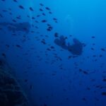 Scuba Diving Experience for Beginners In Greece - What’s Included & Why It Matters