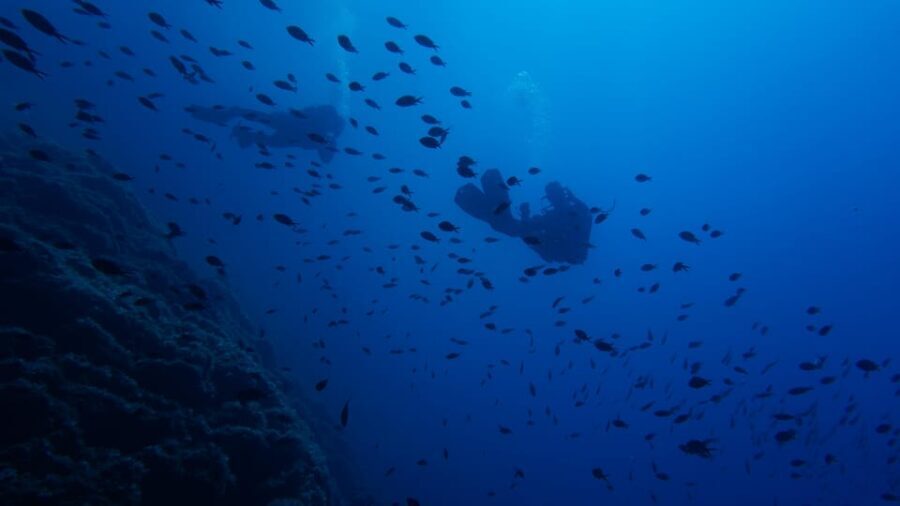 Scuba Diving Experience for Beginners In Greece - What’s Included & Why It Matters