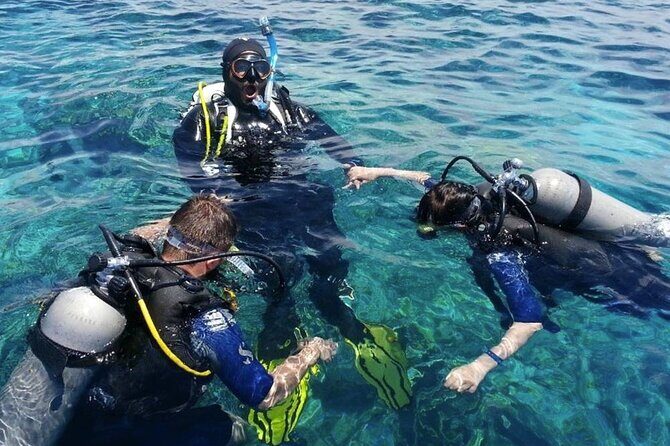 Scuba Diving Experience in Alanya With Lunch and 2 Dives - The Logistics and Practical Details