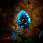 Scuba diving experience in La Maddalena : Baptism of the sea - The Quality of the Equipment and Guidance