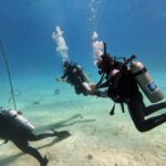Scuba Diving Experience in Porto Cesareo - Practical Aspects and Value