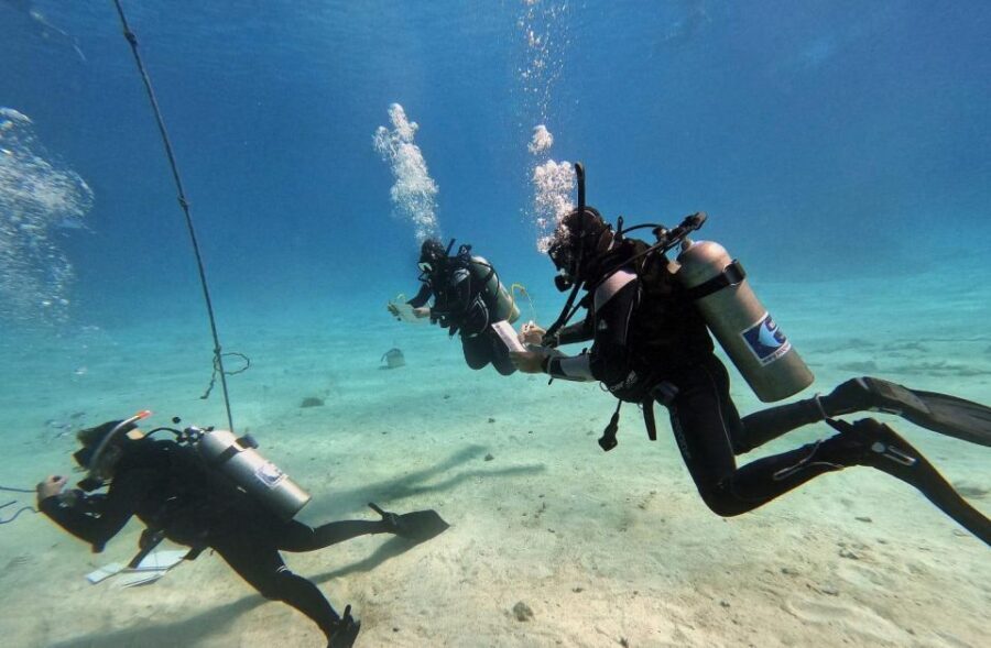 Scuba Diving Experience in Porto Cesareo - Practical Aspects and Value