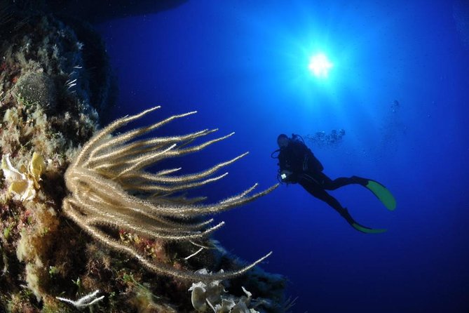 Scuba Diving Experience - Key Points