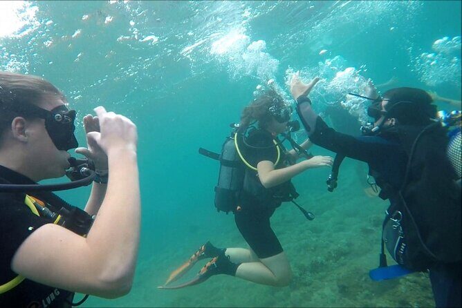 Scuba diving for beginners Cambrils with hotel Pickup - Authentic Feedback from Travelers