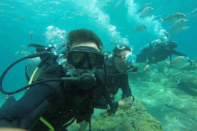 Scuba Diving from Bodrum - Who Should Consider This Tour?