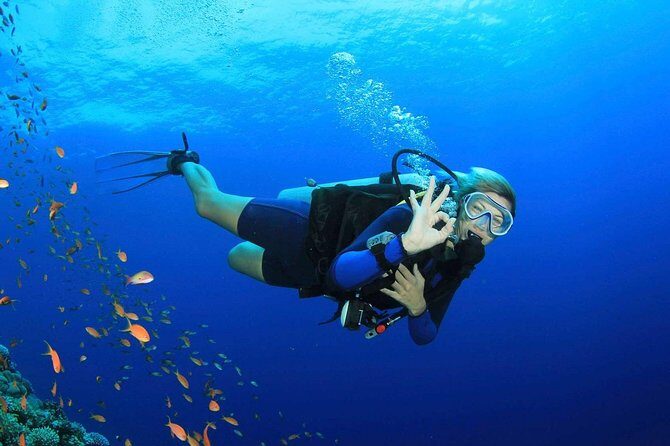 Scuba Diving from Sarigerme - Authentic Experiences That Stand Out