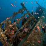 Scuba Diving in Dubrovnik: 1 Dive for Certified Divers - The Authenticity of the Experience