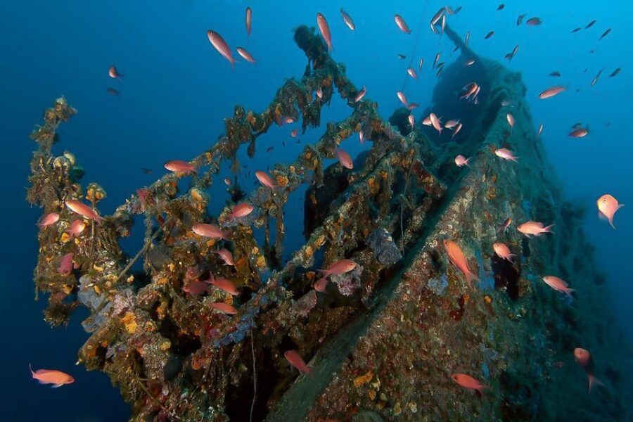 Scuba Diving in Dubrovnik: 1 Dive for Certified Divers - The Authenticity of the Experience