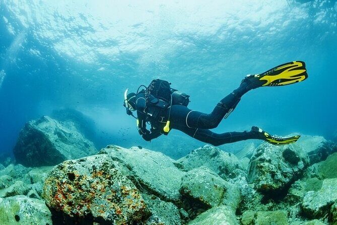 Scuba Diving Tour From Kusadasi / Selcuk - What to Expect: A Detailed Breakdown