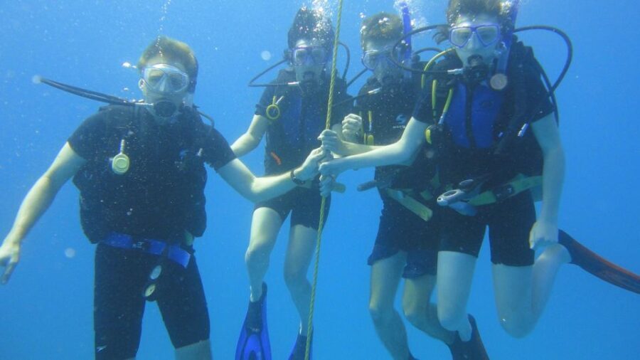 Scuba Diving Tour with Transfer From Alanya and city of Side - Why You’ll Love This Tour