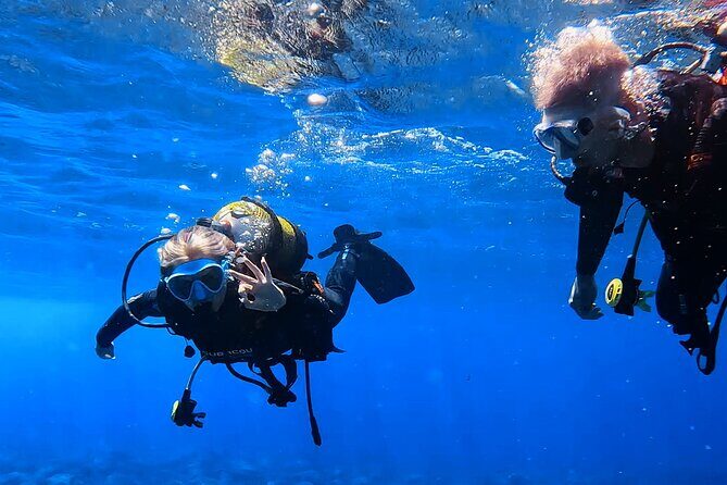 Scuba Experience in Tenerife with Guide - Logistics and Convenience