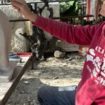 sculpting art experience in Italy,class in sculpture gardens - What’s Included and What’s Not