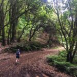 Sea 2 Mountain Running Tour (Moderate-Hard) - What’s Included and How It Works
