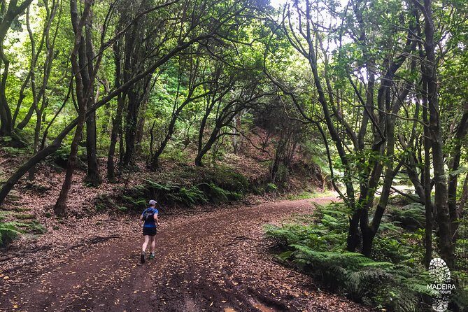 Sea 2 Mountain Running Tour (Moderate-Hard) - What’s Included and How It Works