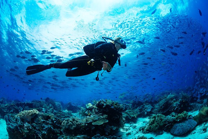 Sea Baptism Scuba Experience in Polignano a Mare - Introduction: A Breath of Fresh Sea Air for Beginners