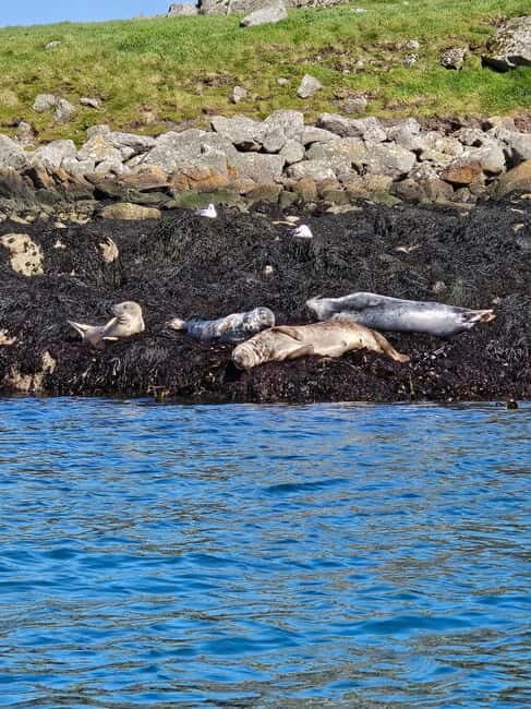 Sea kayaking Killiney beach to Dalkey Island with Pictures - The Rich History of Dalkey Island