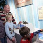 SEA LIFE Blackpool Entrance Ticket - What Makes SEA LIFE Blackpool Worth Visiting?