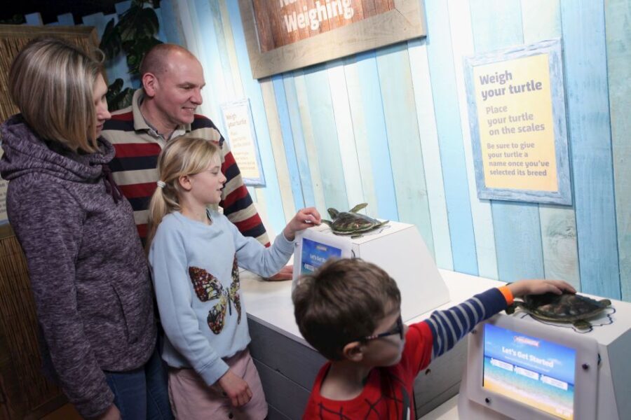 SEA LIFE Blackpool Entrance Ticket - What Makes SEA LIFE Blackpool Worth Visiting?
