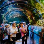 Sea Life Brighton Admission Ticket - Who Will Love This Experience?