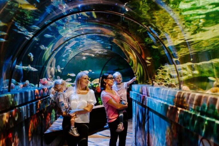 Sea Life Brighton Admission Ticket - Who Will Love This Experience?