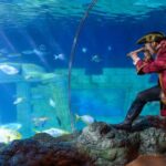 SEA LIFE Porto Full-Day Entrance Ticket - What Makes the Aquarium Special?