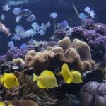 Sea Life Speyer Ticket - Why the Reviews Speak Volumes