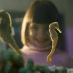SEA LIFE Timmendorfer Strand Ticket - What Visitors Say: Authentic Perspectives