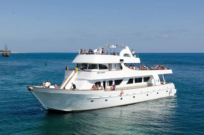 Sea Star Coral Express Cruise from Paphos - What Makes the Sea Star Coral Express Cruise Stand Out?