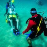 Sea Trek and Diving for handicaped people - Who Would Love This Tour?