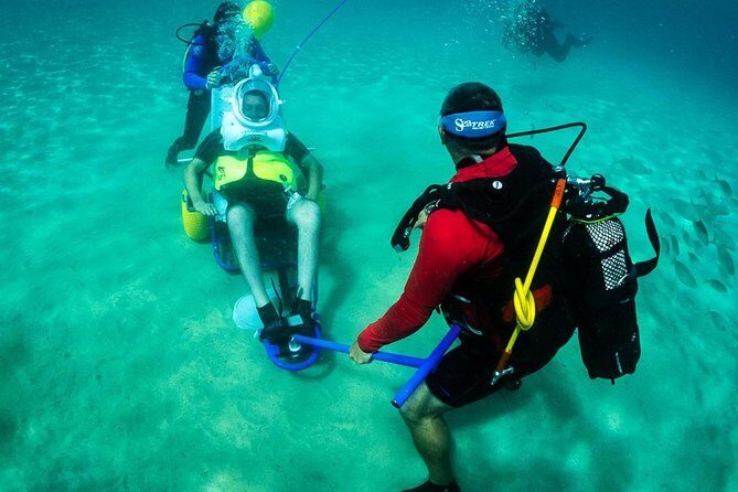 Sea Trek and Diving for handicaped people - Who Would Love This Tour?
