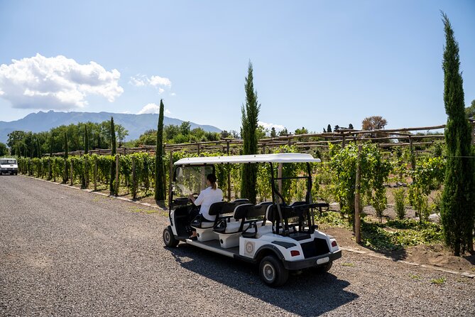 Seafood Lunch & Wine Tasting with Scenic Golf Cart Tour - An Introduction to the Tour Experience