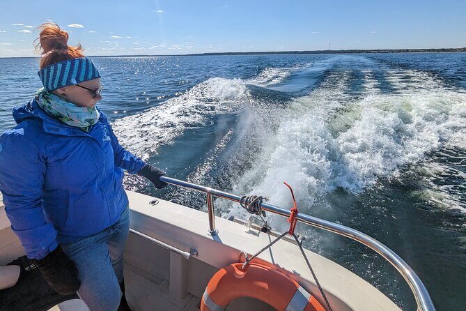 Seal-Watching Tour near Malusi Islands - The Practical Side: Logistics, Cost, and Comfort