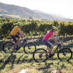 Secret vineyards E-bike tour - Who Will Love This Tour?