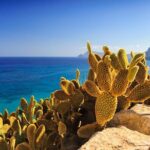 Secrets of Ibiza - Car tour in 8 hours - The Bottom Line
