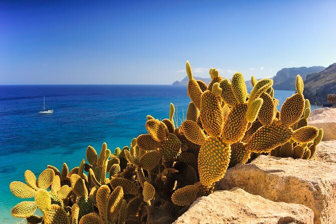Secrets of Ibiza - Car tour in 8 hours - The Bottom Line