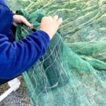 Seggiano: Typical Tuscan Farm Tour with Olive Oil Tasting - Practical Details: Price, Duration, and Accessibility