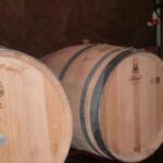 Segovia: Winery Tour with Wine Tasting - The Sum Up: Who Should Consider This Experience?