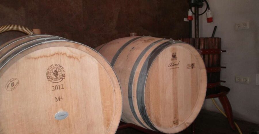 Segovia: Winery Tour with Wine Tasting - The Sum Up: Who Should Consider This Experience?